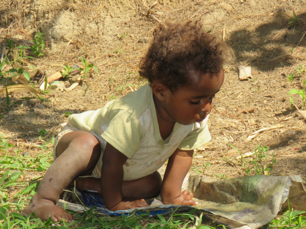 Dom People Group - Ethnos360