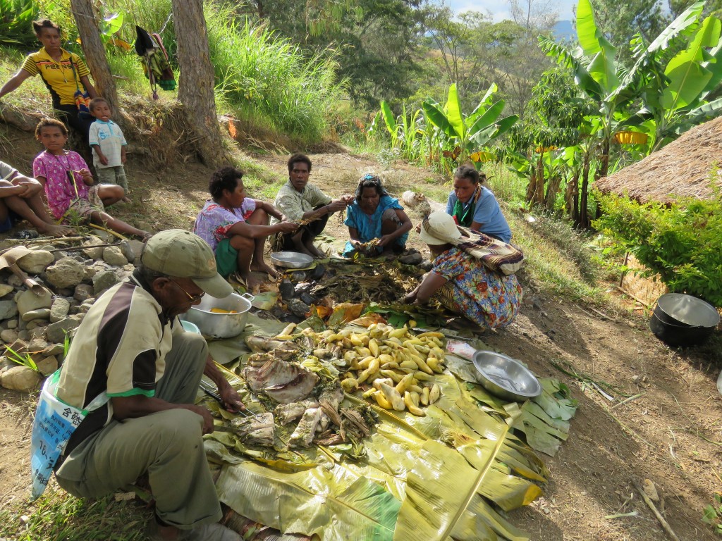 Dom People Group - Ethnos360