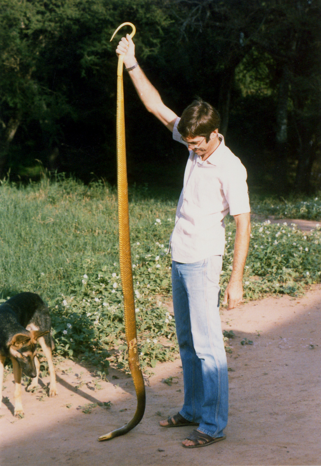 Manjui people - Ethnos360