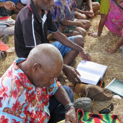Dom People Group - Ethnos360